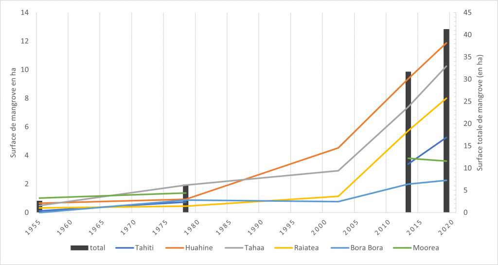 Les mangroves à travers le temps – Pôle-relais Zones Humides Tropicales